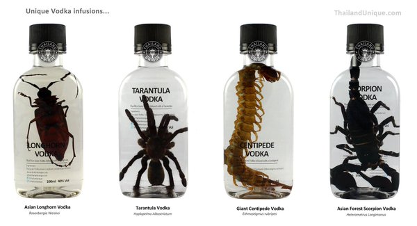 Weirdest Stuff on the Internet: Canned Insects | Unassociated Press
